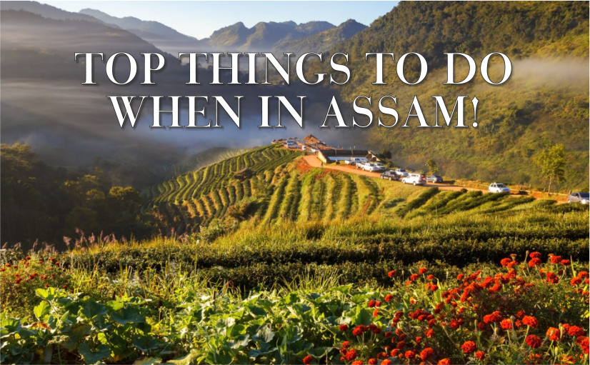 The Best Things To Do In Assam